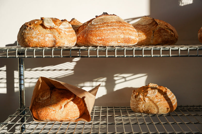 Sea Salt Brownie – Proto Artisan Bakery